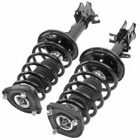 China 2x Rear Complete Strut & Coil Spring Assembly for Hyundai Tiburon 03-08 Coupe for sale
