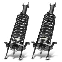 China 2x Rear Complete Strut & Coil Spring Assembly for Chrysler Sebring 01-06 Convertible for sale