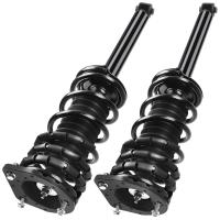 China 2x Rear Complete Strut & Coil Spring Assembly for Chevy Cavalier Pontiac Sunfire for sale