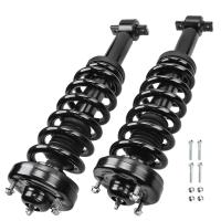 China 2x Front Complete Strut & Coil Spring Assembly for Ford F-150 2015 2016-2020 4WD for sale