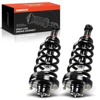 China 2x Rear Complete Strut & Coil Spring Assembly for Ford Expedition Lincoln 07-17 for sale