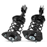 China 2x Rear Complete Strut & Coil Spring Assembly for Buick Allure 05-09 Chevy Impala for sale