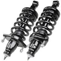 China 2x Rear Complete Strut & Coil Spring Assembly for Honda CR-V 2007-2011 for sale