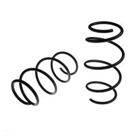 China 2x Front Suspension Coil Springs for BMW E46 323i 325i 328i 330i for sale