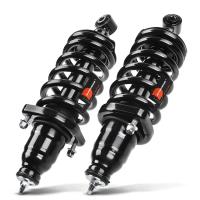China 2x Rear Complete Strut & Coil Spring Assembly for Honda Element 2003-2011 2.4L for sale