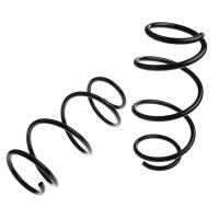 China 2x Front Suspension Coil Springs for BMW 118i 120i Hatchback 320i 328i Sedan for sale
