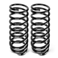 China 2x Rear Suspension Coil Springs for Nissan Maxima 1995-1999 V6 3.0L Sedan for sale