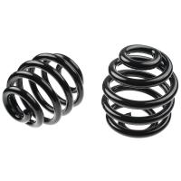 China 2x Rear Suspension Coil Springs for Audi TT Quattro 2001-2006 for sale