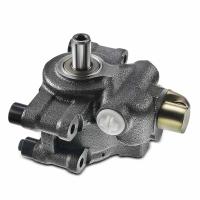 China Power Steering Pump for Ford F-150 Expedition Lincoln Navigator Mark LT for sale