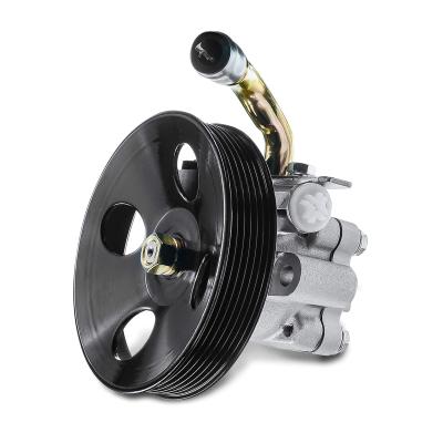 China Power Steering Pump with Pulley for Hyundai Tucson Kia Sportage V6 2.7L for sale