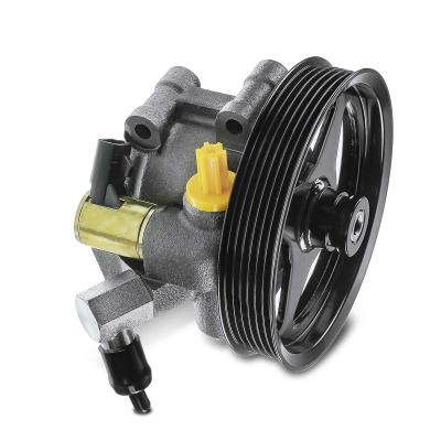China Power Steering Pump with Pulley for Ford Crown Victoria Expedition V8 4.6L 5.4L for sale