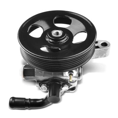 China Power Steering Pump with Pulley for Kia Sorento 2007-2009 for sale