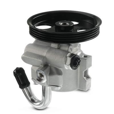 China Power Steering Pump with Pulley for Chevrolet Aveo 5 Pontiac G3 Suzuki Swift for sale