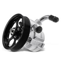 China Power Steering Pump with Pulley for Hyundai Santa Fe V6 3.3L 2007-2009 for sale