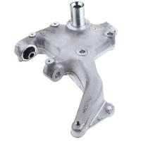China Rear Passenger Steering Knuckle for Volkswagen Passat 06-10 CC Tiguan Audi Q3 TT for sale