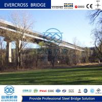 China Hot-Dip Galvanized Steel Plate Girder Bridge - 10-300m Spans, 60-100T Loading Capacity for Highway Applications for sale