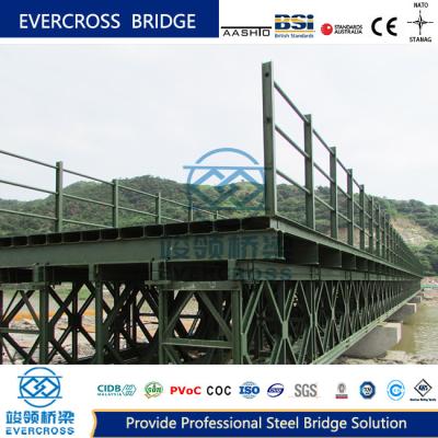 China Composite Steel Plate Girder Bridge - Prefabricated Modular Design with 10-300m Spans and MLC110 Loading Capacity for sale