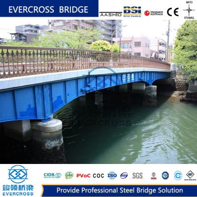 China Prefabricated Steel Plate Girder Railway Bridge with 10-300m Spans and 60T Loading Capacity for Industrial Applications for sale