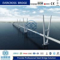 China Custom Steel Cable Suspension Bridge for Railway Traffic - 10M to 300M Spans with 100T Loading Capacity for sale