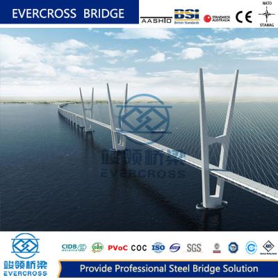 China Custom Steel Cable Suspension Bridge for Railway Traffic - 10M to 300M Spans with 100T Loading Capacity for sale