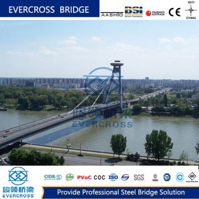 China Steel Cable Suspension Bridge for Highway Traffic - 1000m+ Span Capacity with 300M Design Range for sale