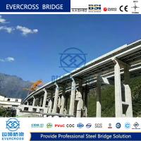 China Custom Steel Box Girder Bridge 10-300m Span with AISC Standards and High Load Capacity for sale