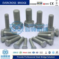 China Professional OEM High Strength Structural Bolts Class 8.8 & 10.9 for Steel Bridges and Buildings for sale