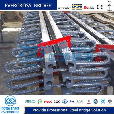 China Z Type Bridge Expansion Joints - Steel & Elastomeric Construction for 10M-300M Spans with ISO9001 Certification for sale