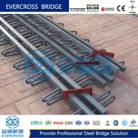 China Modular Bridge Expansion Joint for 10M-300M Spans with AASHTO HL93 Loading Capacity and ISO9001 Certification for sale