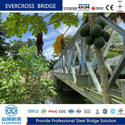 China Heavy Loading Bailey Truss Bridge 100-Type 40 Ton Capacity Modular Steel Bridge for sale