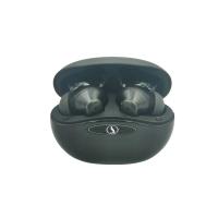 China Discover the Latest in Hearing Technology with Our Digital Hearing Aids for sale