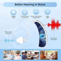 China Air Conduction OTC Hearing Aid 200Hz Automatic Noise Cancelling Bluetooth Digital Amplifier for sale
