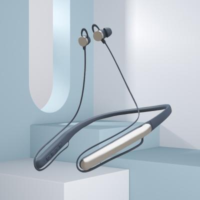 China 80 Hours Rechargeable Hearing Aids IPX5 FDA Mini Rechargeable Digital Hearing Device for sale