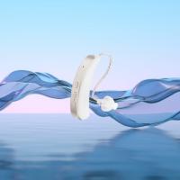 China Rechargeable Lithium Battery And 9 Level Adjustable Volume Digital Hearing Aids With SOC Digital Chip for sale