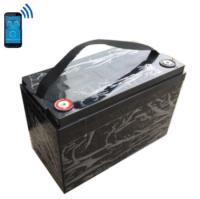 China Lithium 12v 130Ah Deep Cycle Rechargeable Battery With Small Group Size 31 for sale