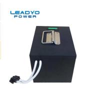 China Durable Steel Case 48V 50Ah Lifepo4 Golf Cart Battery Rechargeable With Handle for sale