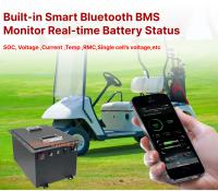 China 48V 100Ah LiFePO4 Golf Cart Batteries 300A/10s Peak Current Over Current Protection for sale