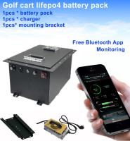 China 48V 100Ah LiFePO4 Golf Cart Batteries 300A/10s Peak Current Over Current Protection for sale