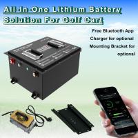 China Lithium Golf Cart 36V 38.4V 80Ah LiFePO4 LFP Battery Pack for sale