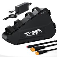 China Lithium Triangle Ebike 52V 30Ah Trick Li-ion Battery Pack for sale