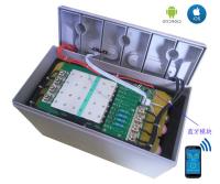 China 100Ah 200A Deep Cycle 12V LiFePO4 Battery Pack With ABS Case for sale