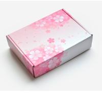 China CSB0104 Cosmetic Shipping Box Corrugated Makeup Delivery Box for sale