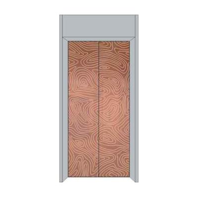China 0.6mm 304 Elevator Stainless Steel Sheet Etching PVD For Lift Door Or Cabin for sale