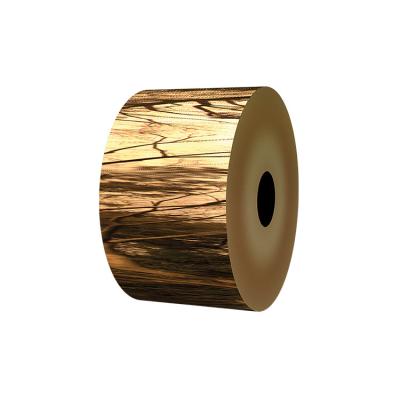 China 201 304 Color Stainless Steel Coil AISI Titanium Gold For Interior And Exterior Decoration for sale