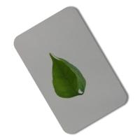 China 304 430 Mirror Finish Stainless Steel Sheet Wall Panel PVD 4x8 Color Coating 8K for sale