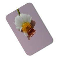 China 28 Gauge 8K Mirror Finish Stainless Steel Sheet 201 304 6K Cold Rolled Colored for sale