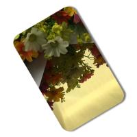 China 201 304 316 Mirror Finish Stainless Steel Sheet Decorative Titanium Gold 8K for sale