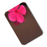 China PVD Colored Polished Stainless Sheet Metal 1250mm , 8K Mirror Finish Steel Plate for sale