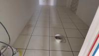 China Epoxy Resin Perforated Raised Floor For Data Center Clean Room for sale