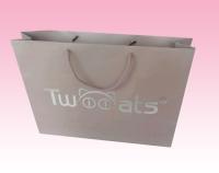 China custom cheap paper merchandise bags with cotton handle manufacturer for sale